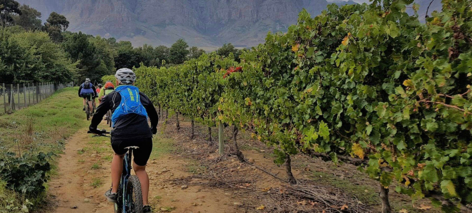 Cape Country Routes - activities in South Africa's Western and Eastern ...