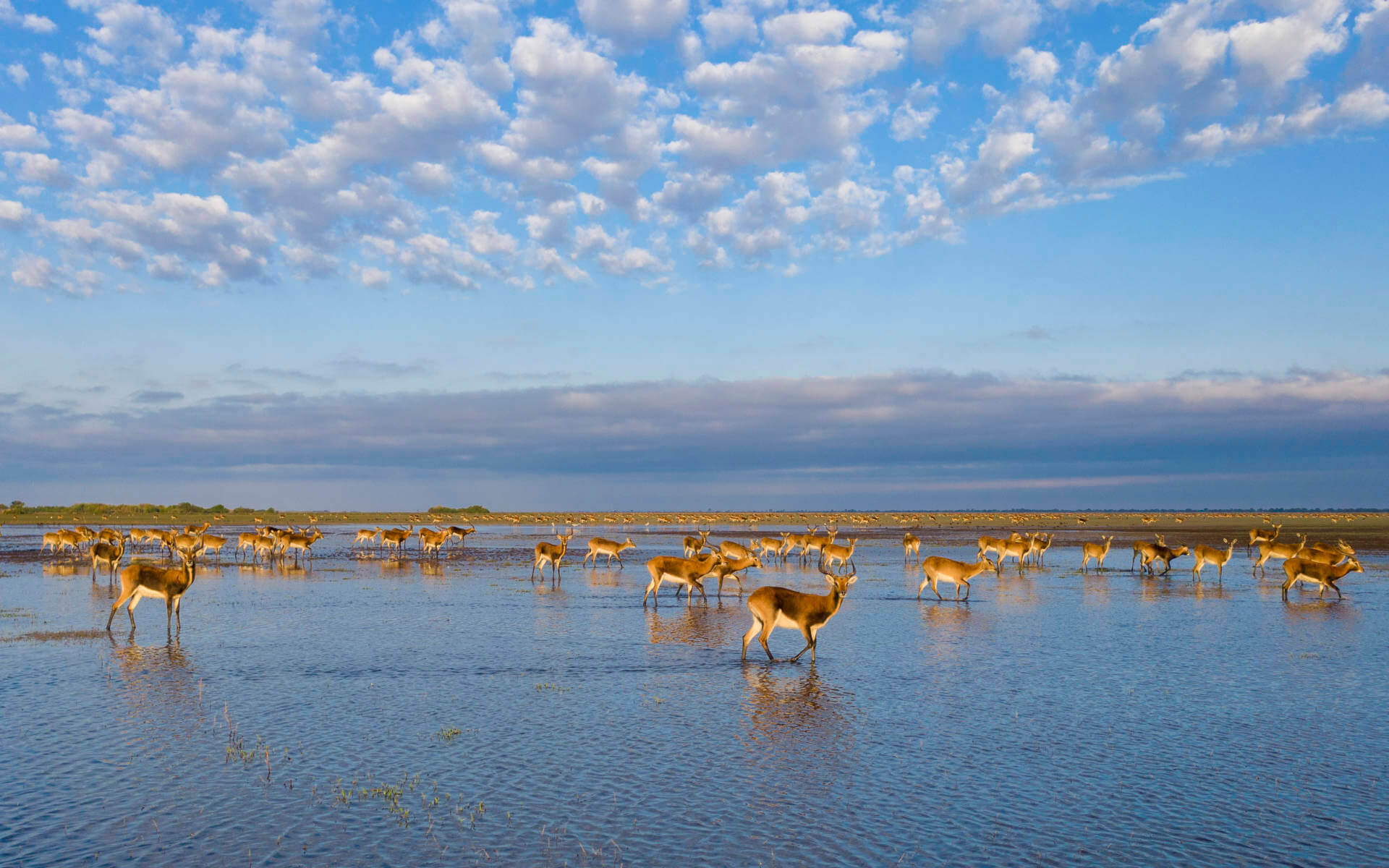 Beautiful Bangweulu - Luxury Safari Magazine