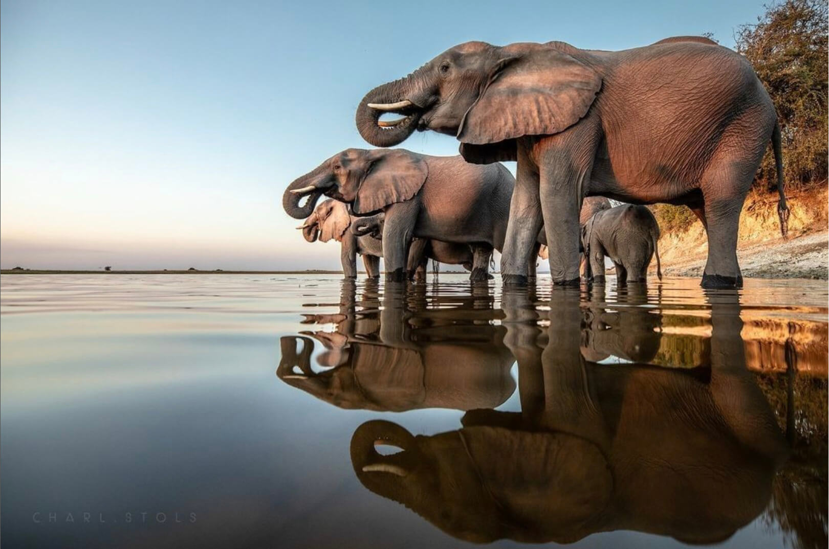 Africa's Eden Tourism Association - Luxury Safari Magazine