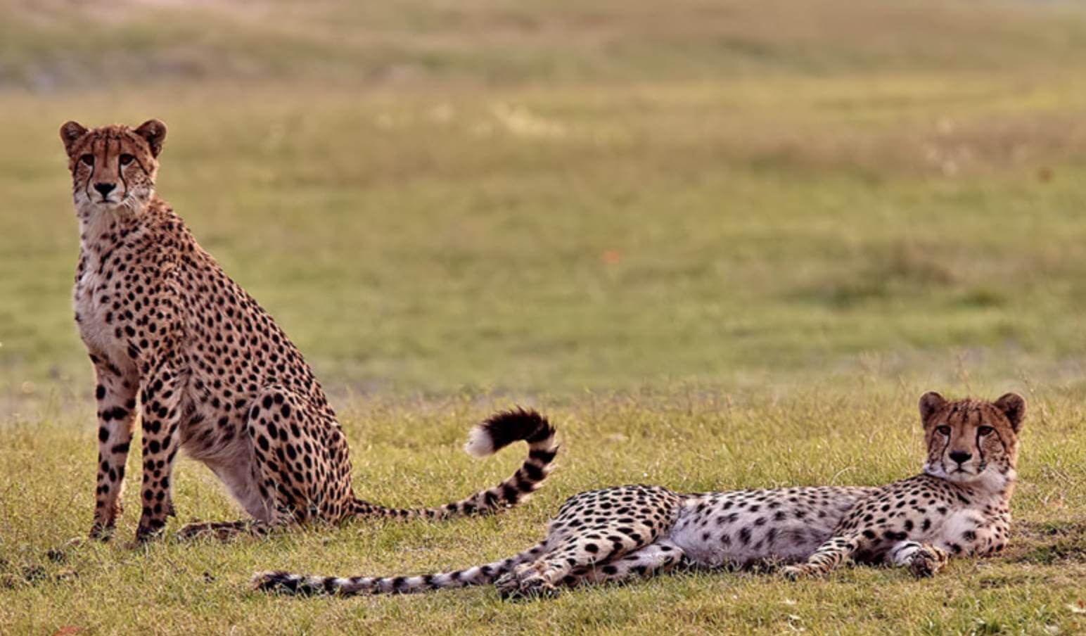 Konkamoya - is a place full of the wonders of nature - Luxury Safari ...