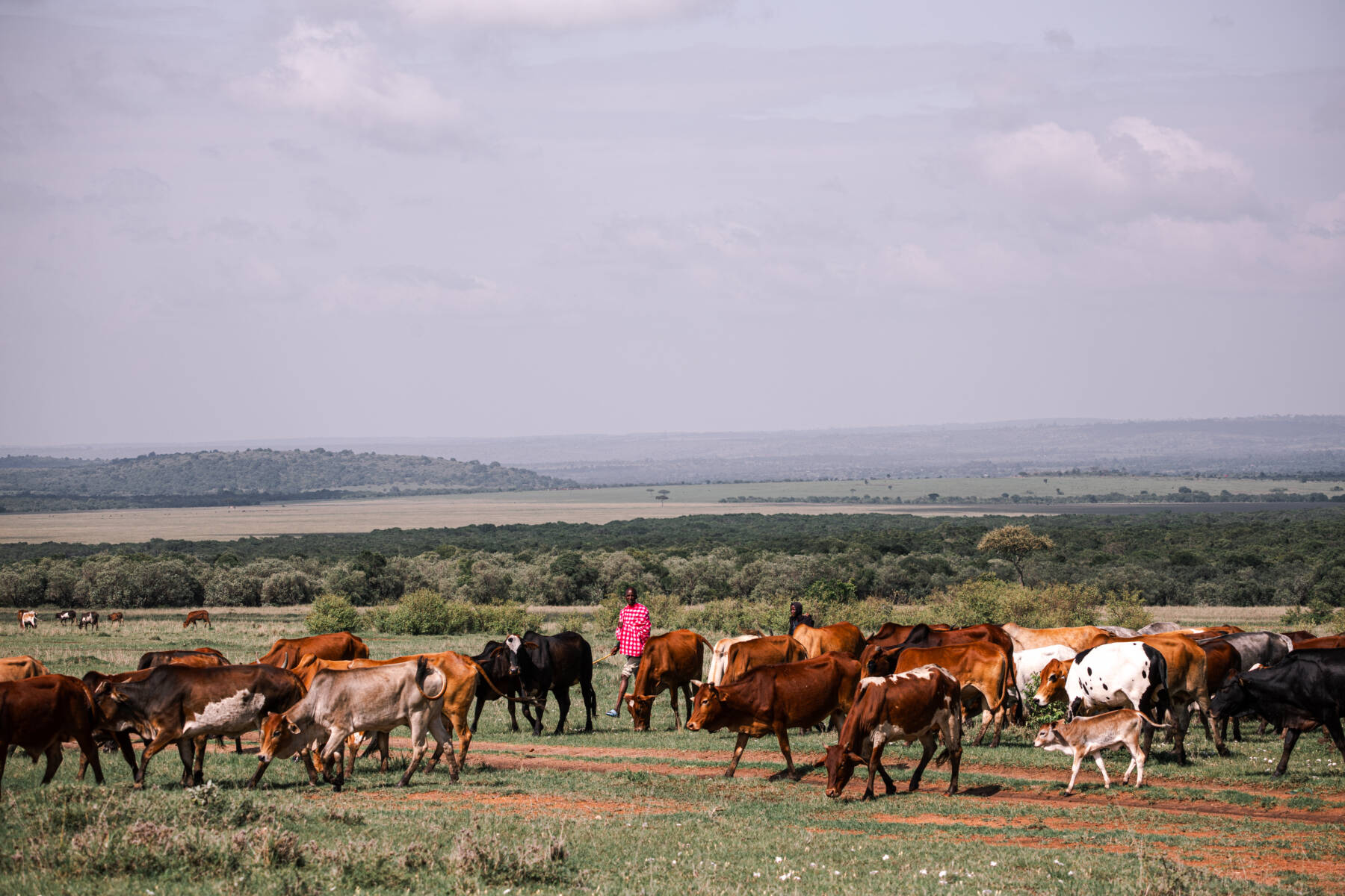 Into the Wild: Emma Blunt Stays at House In The Wild, Kenya - Luxury ...