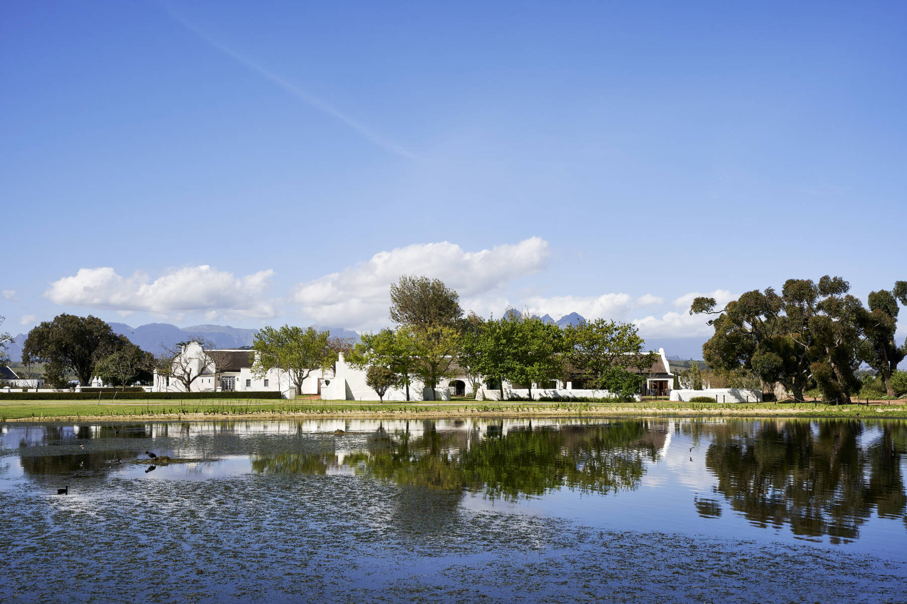 Vergenoegd Löw: A timeless Stellenbosch Estate with a sustainable soul ...